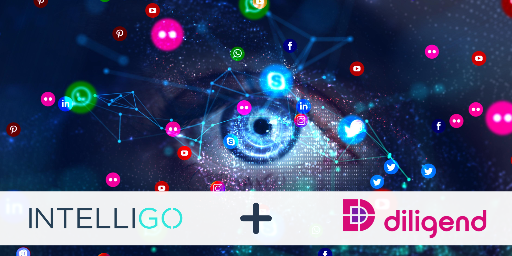 Intelligo